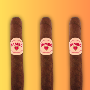 Tambo Cigars from Tinder Box | Premium Everyday Cigars